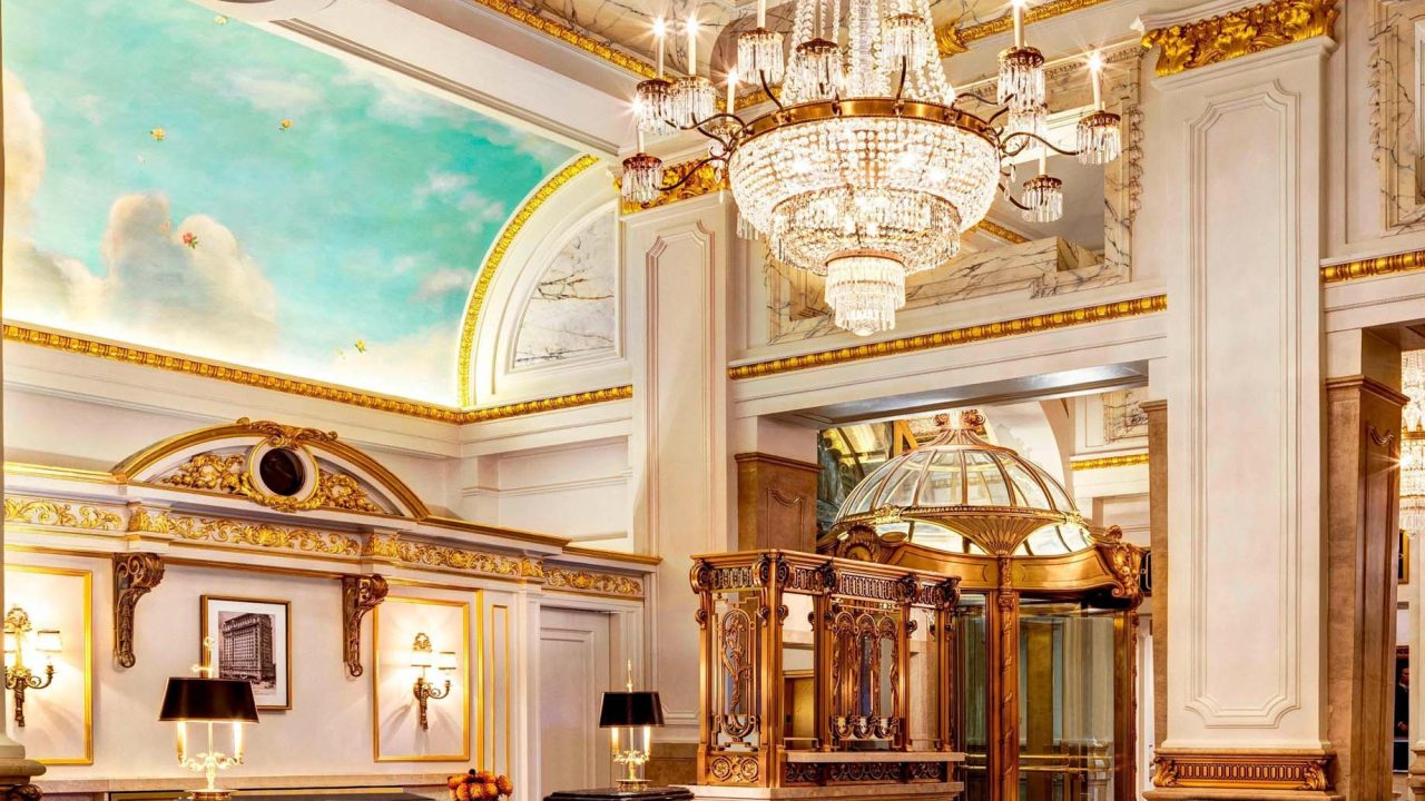 Luxury Aesthetics – TRAVOH