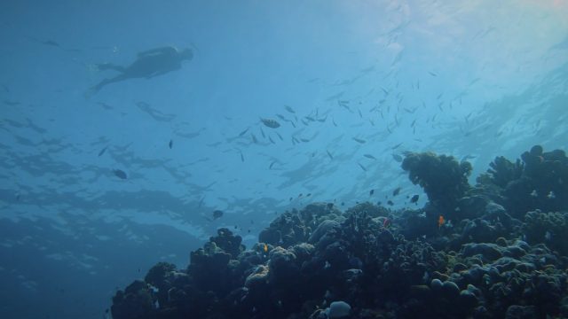 The Ritz-Carlton, Jeddah Hotel – Jeddah, Saudi Arabia – Red Sea ...