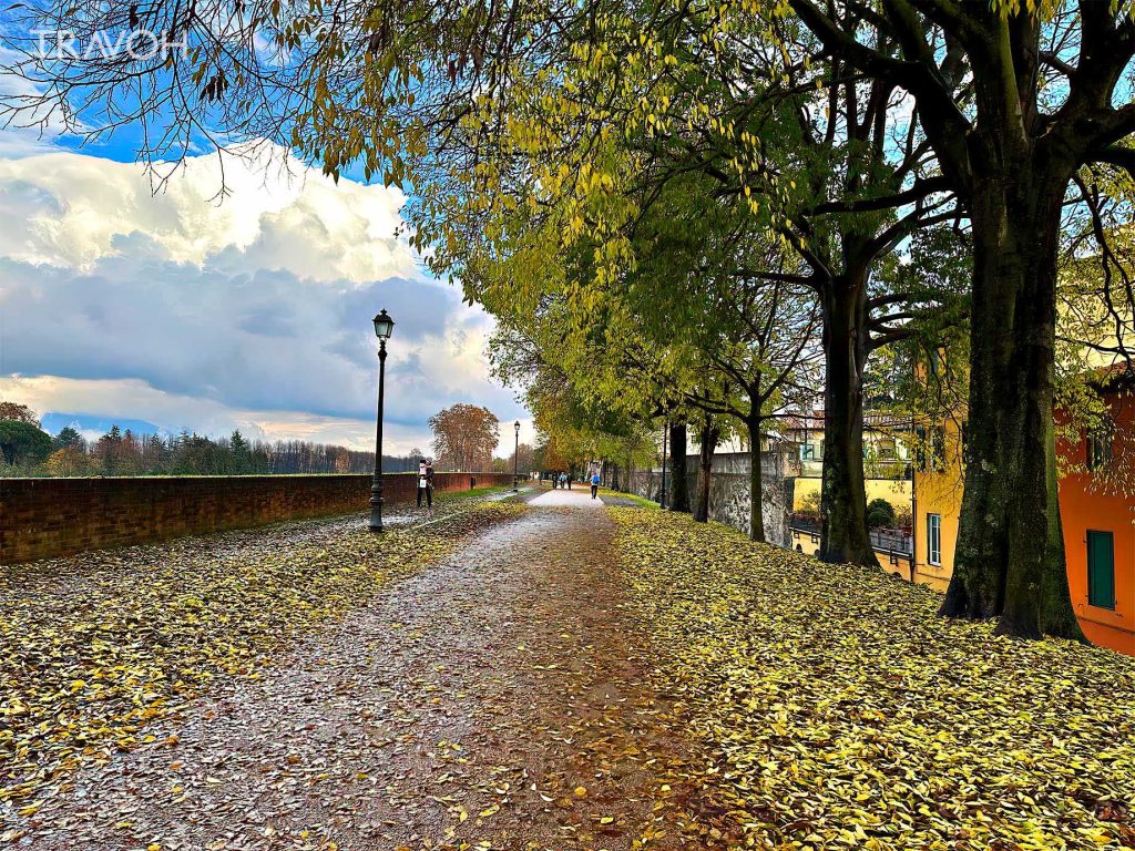Discover The Historic City Of Lucca, Italy – TRAVOH