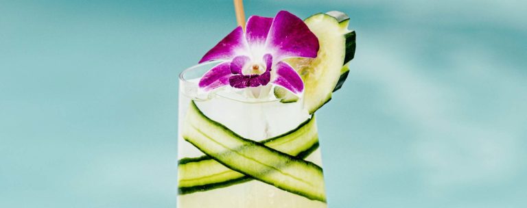 Hotel Zena, a Viceroy Urban Retreat – Washington, DC, USA – Hedy’s ...