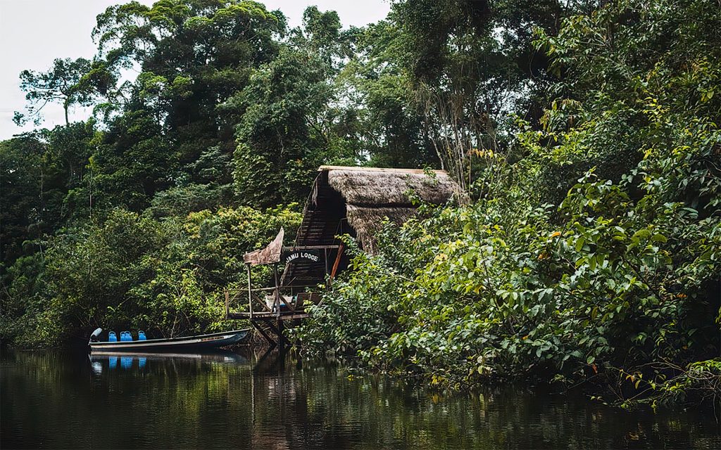 Exploring the Best Cuyabeno Lodges in Cuyabeno Wildlife Reserve – TRAVOH